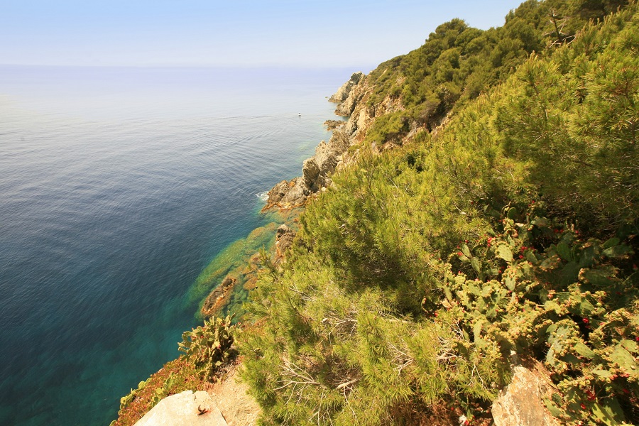 Porquerolles: een goed verstopt eiland aan de Côte d’Azur