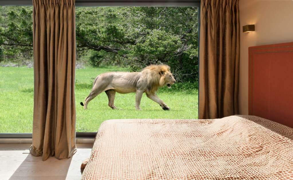 Cet hôtel vous permet de passer une nuit entouré de… lions