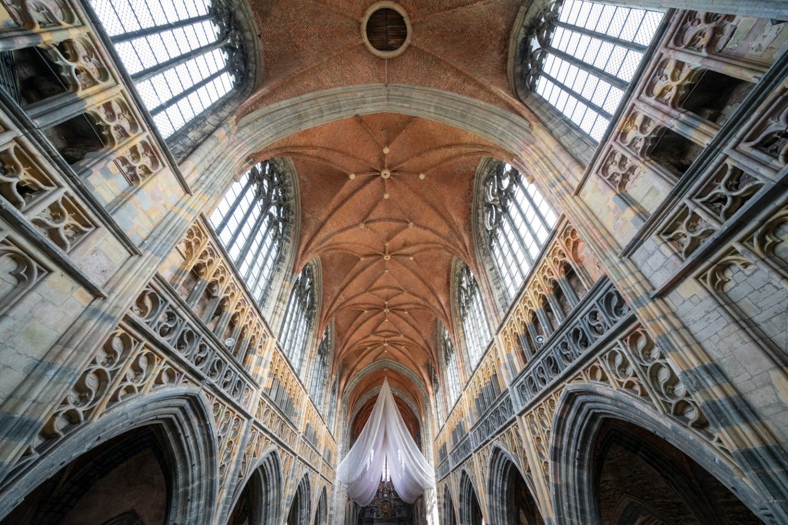 Julie in Saint-Hubert: de basiliek, burlende herten en een gigantisch woud!